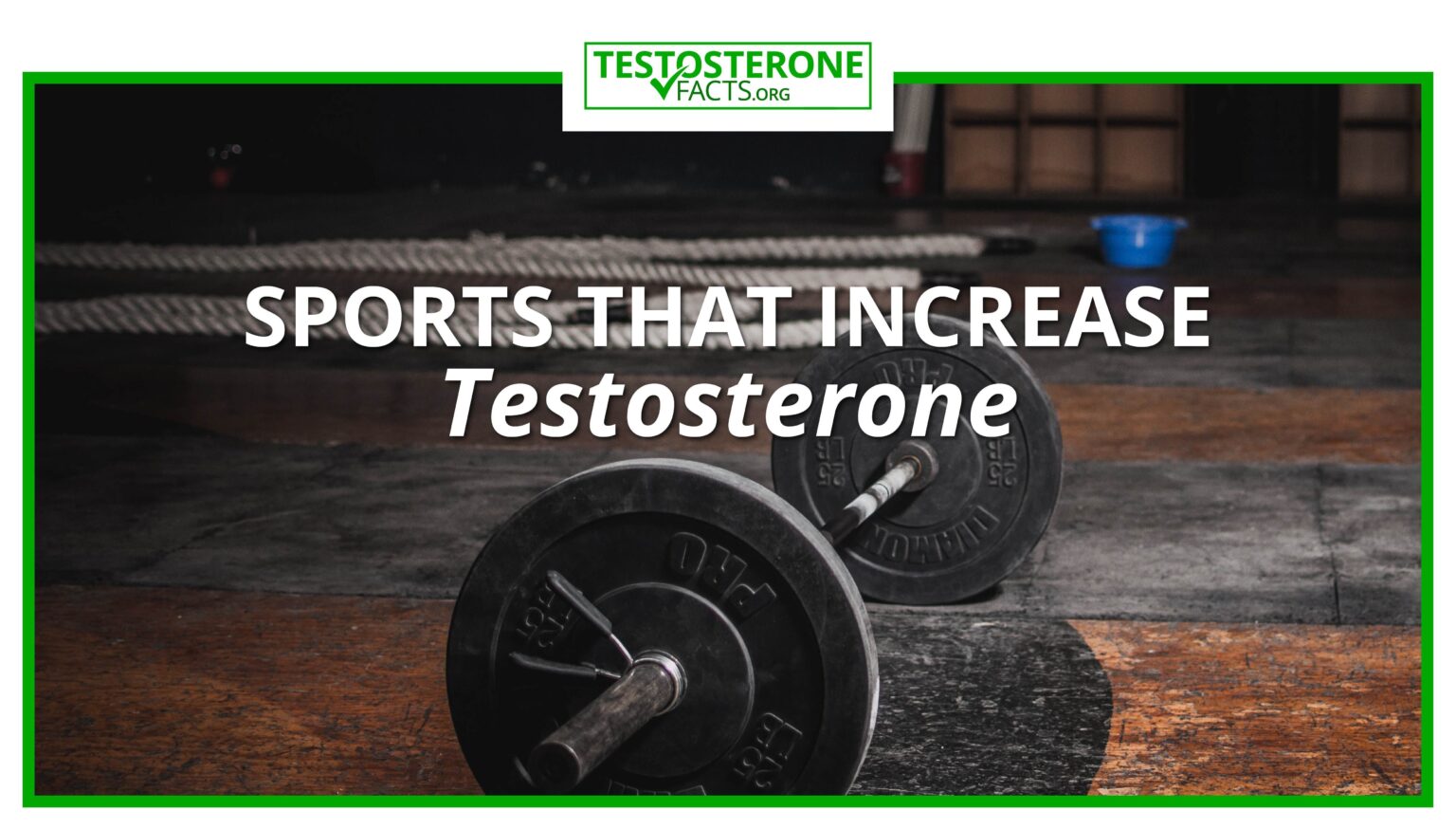 Sports That Increase Testosterone – Testosteronefacts.org