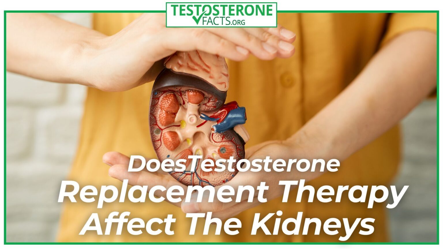 Does Testosterone Replacement Therapy Affect The Kidneys ...