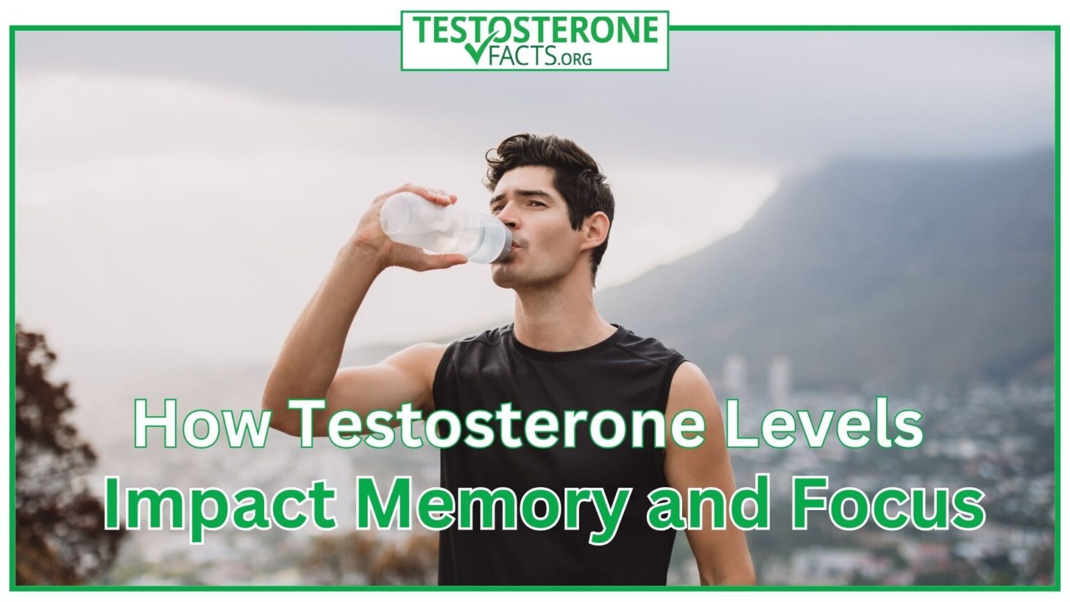 How Testosterone Levels Impact Memory and Focus in Men